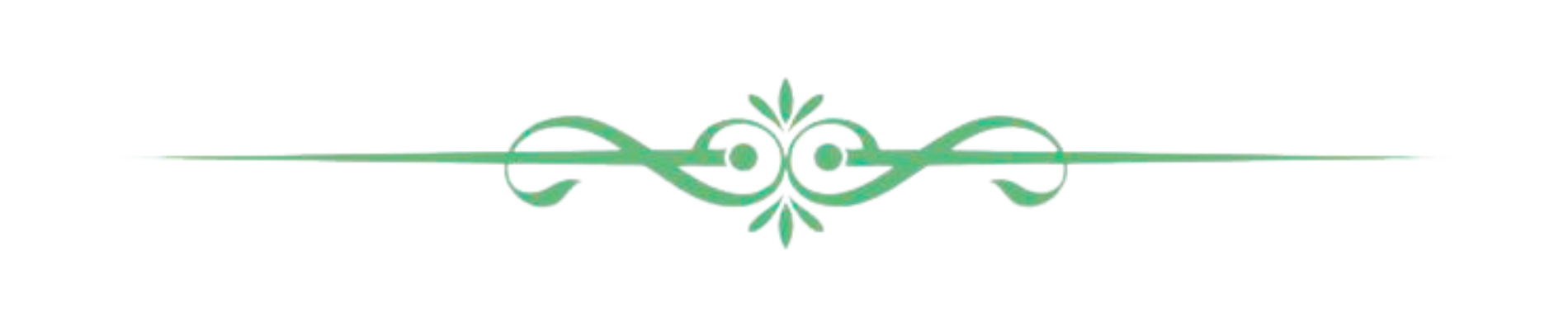 BORGU - KiaraRiceMills